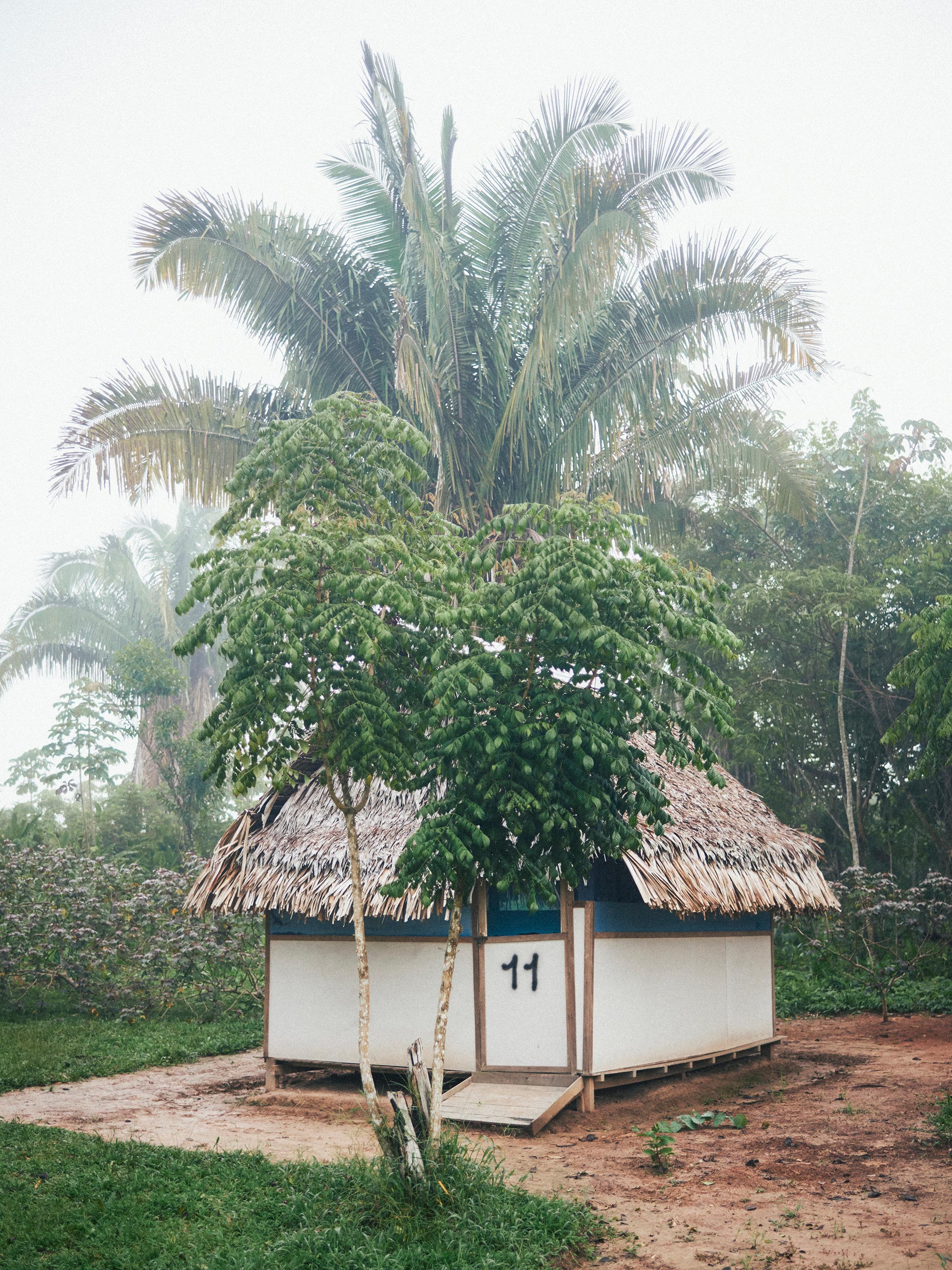 THE MEDICINE – STORY | Robin Mellor Photographer